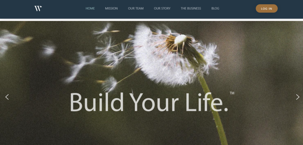 World Wide Group Review – A Scam Or Legit? Truth Revealed!